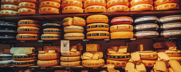 Queijo: O Guia Definitivo! (em 10 minutos) - A Casa do Produtor